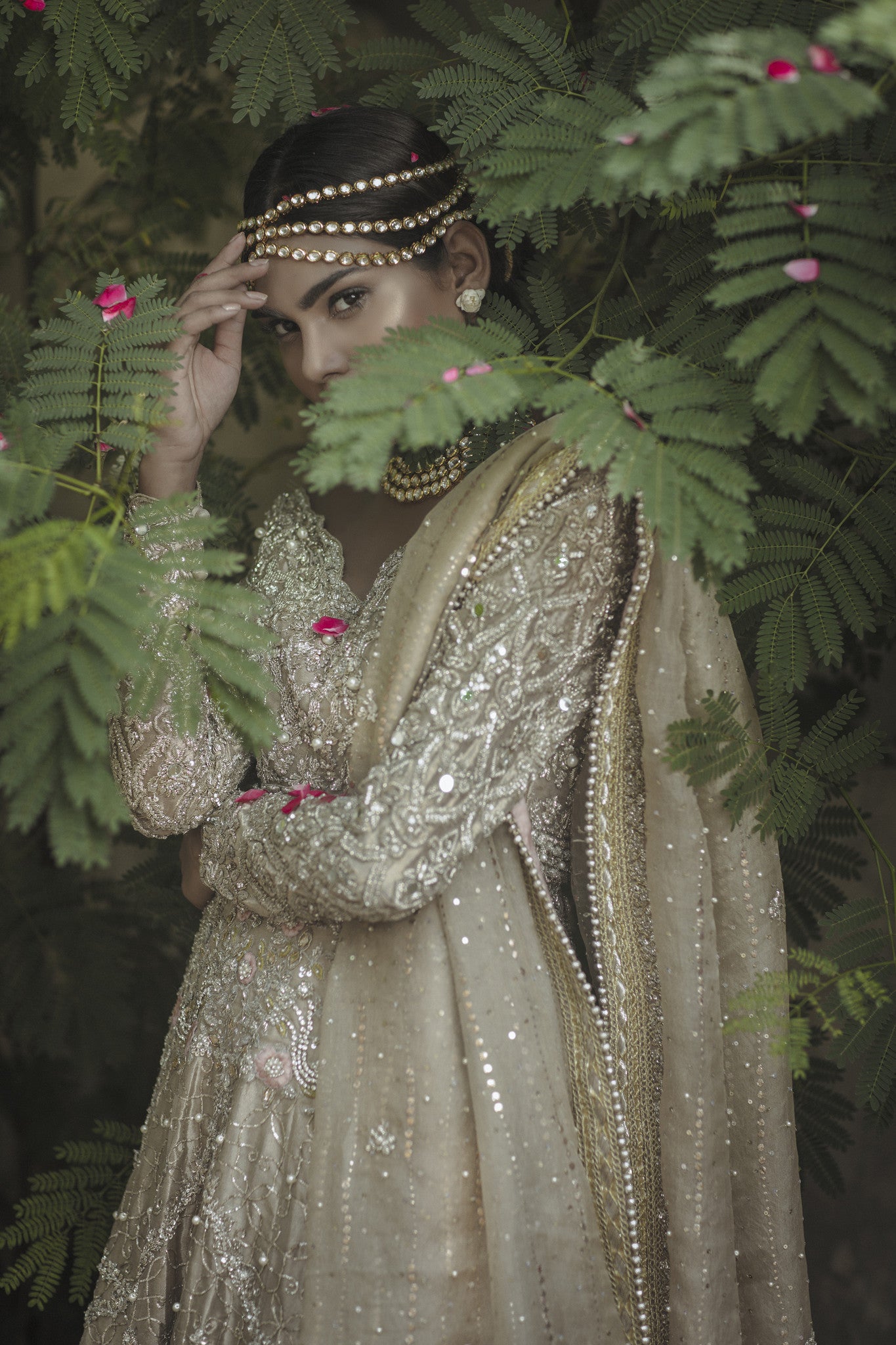 CRUSHED GOLD – Suffuse